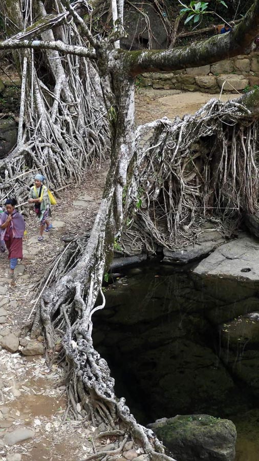 Mawlynnong Travel Guide (2025) — Best Time, Top Attractions & FAQs